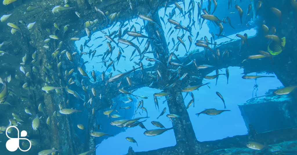 L’Alfred Merlin, le nouveau navire dédié à la recherche archéologique ...